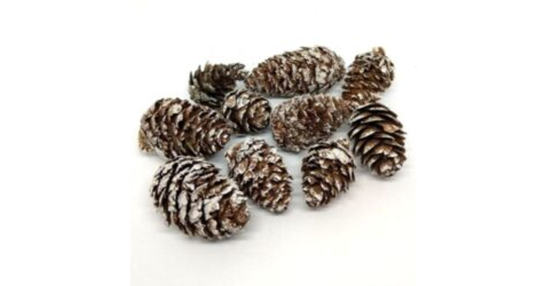 Mini vörösfenyő toboz, barna havas - Kreativ Hobby Dekor/üzlet és ...